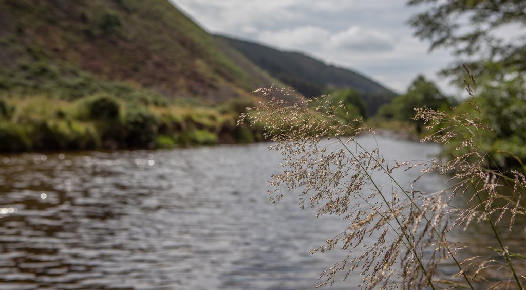 Welcome to Clearly Drinks | Soft Drinks Manufacturer | Contract Bottling